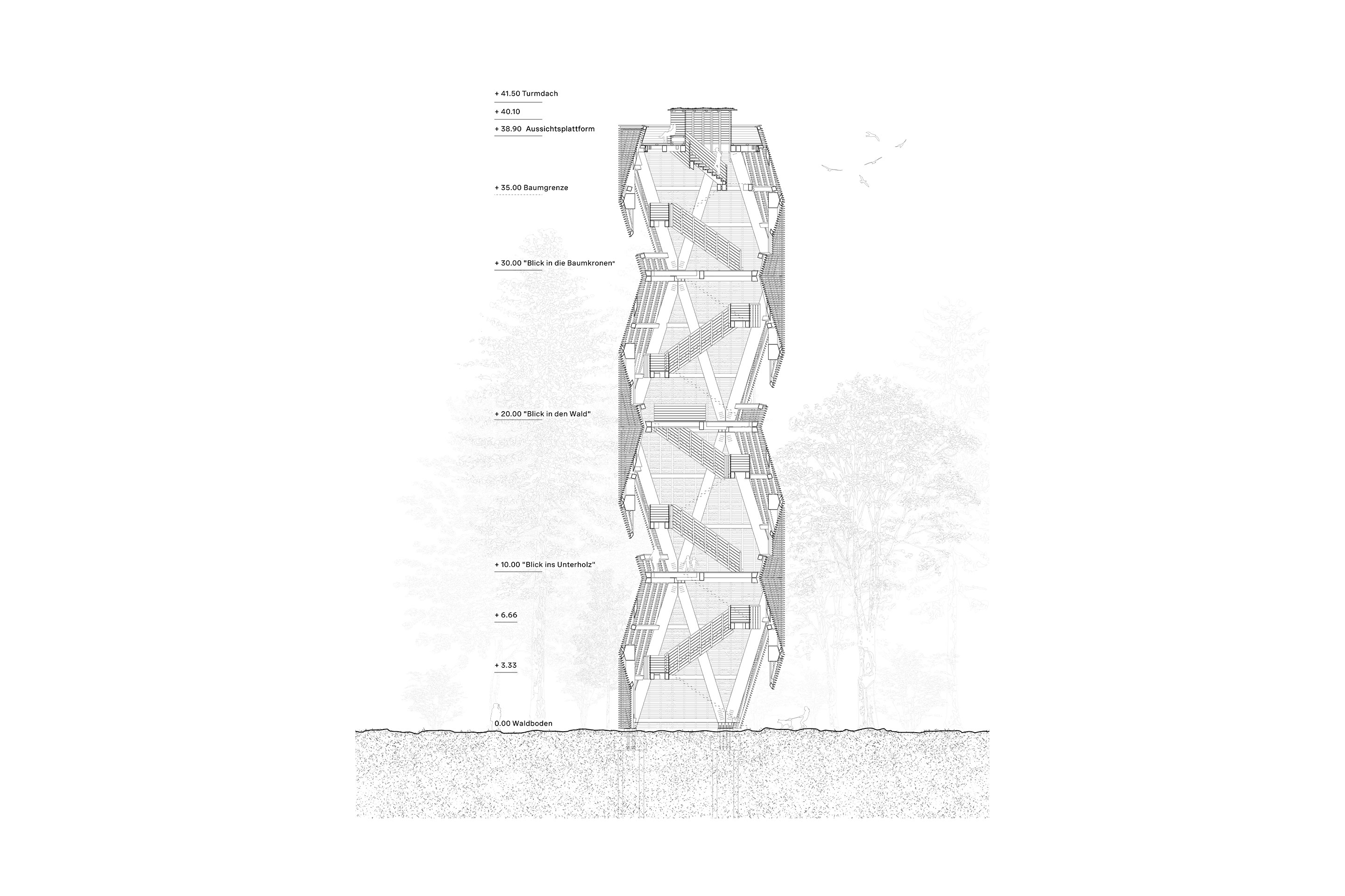 Holzriese mit Profil | Espazium