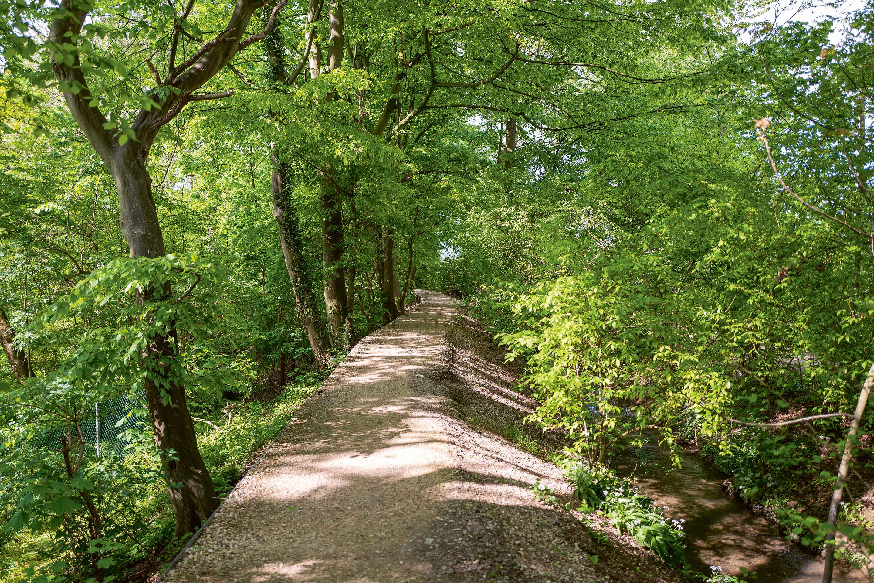 Vielgestaltiges Allschwil | Espazium