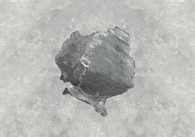 Cristiàn Orellana Terrsy, Proyecto Islas | Espazium