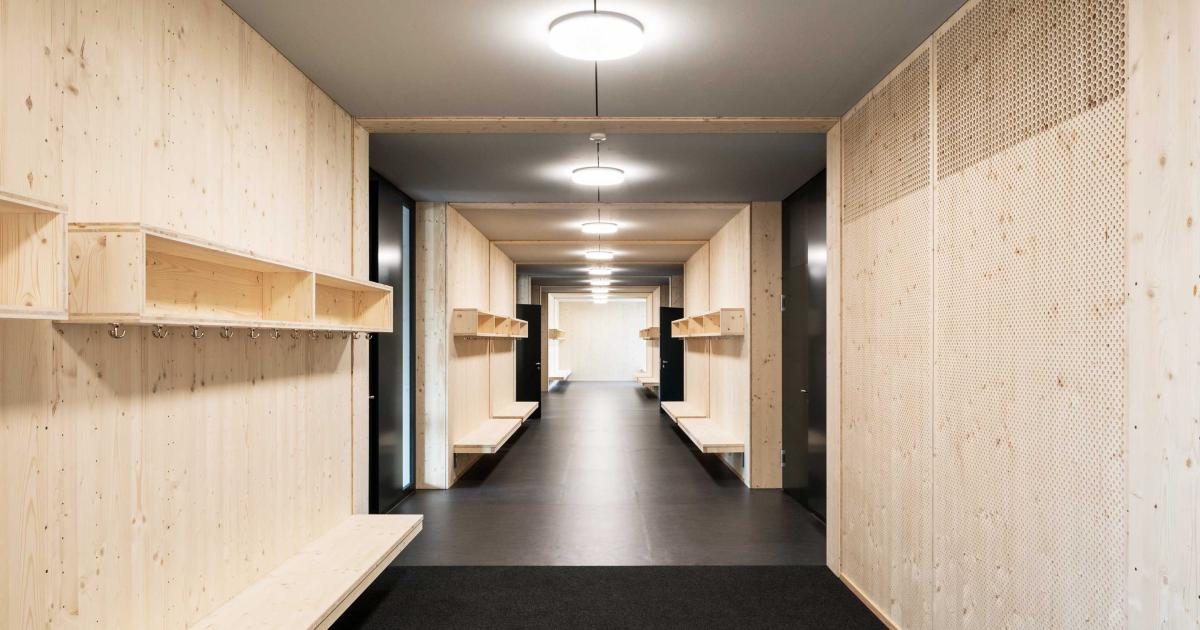 Plus de bois pour les écoles et les hôpitaux | Espazium