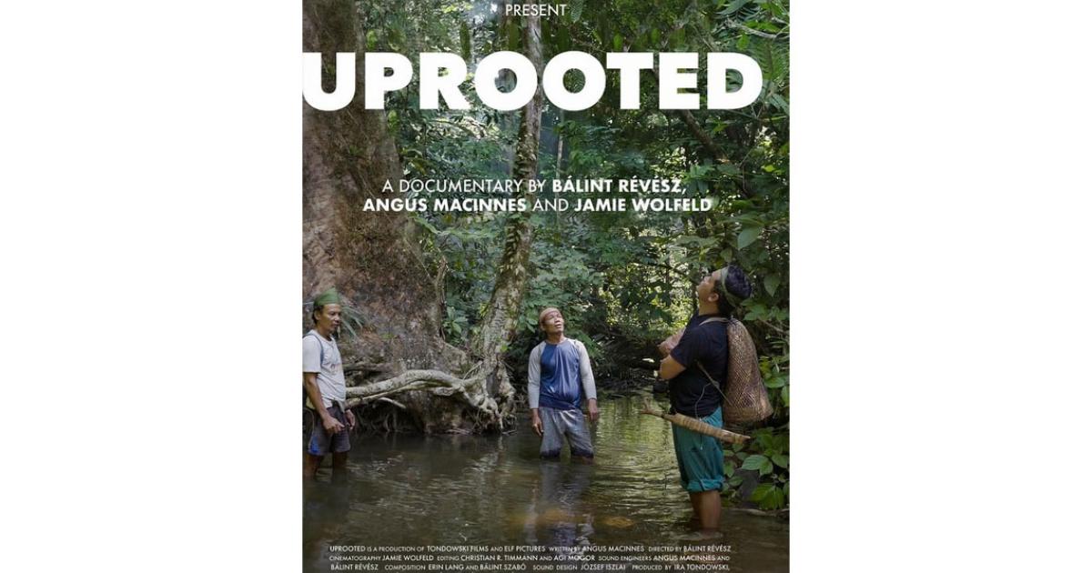 Filmabend Nachhaltigkeit | Uprooted - The Olympic Tribe