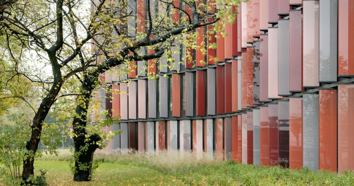 Colour in Architecture: Louisa Hutton