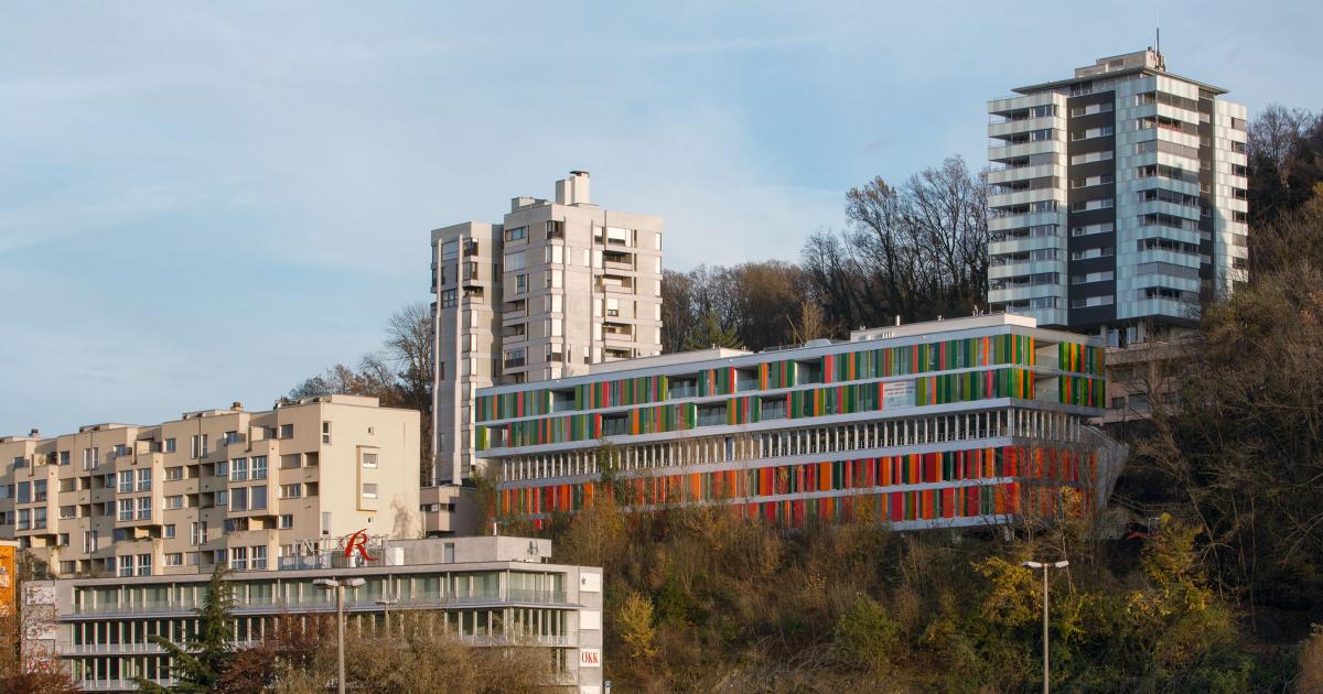 Residenza ai Faggi a Lugano-Pazzallo | Espazium