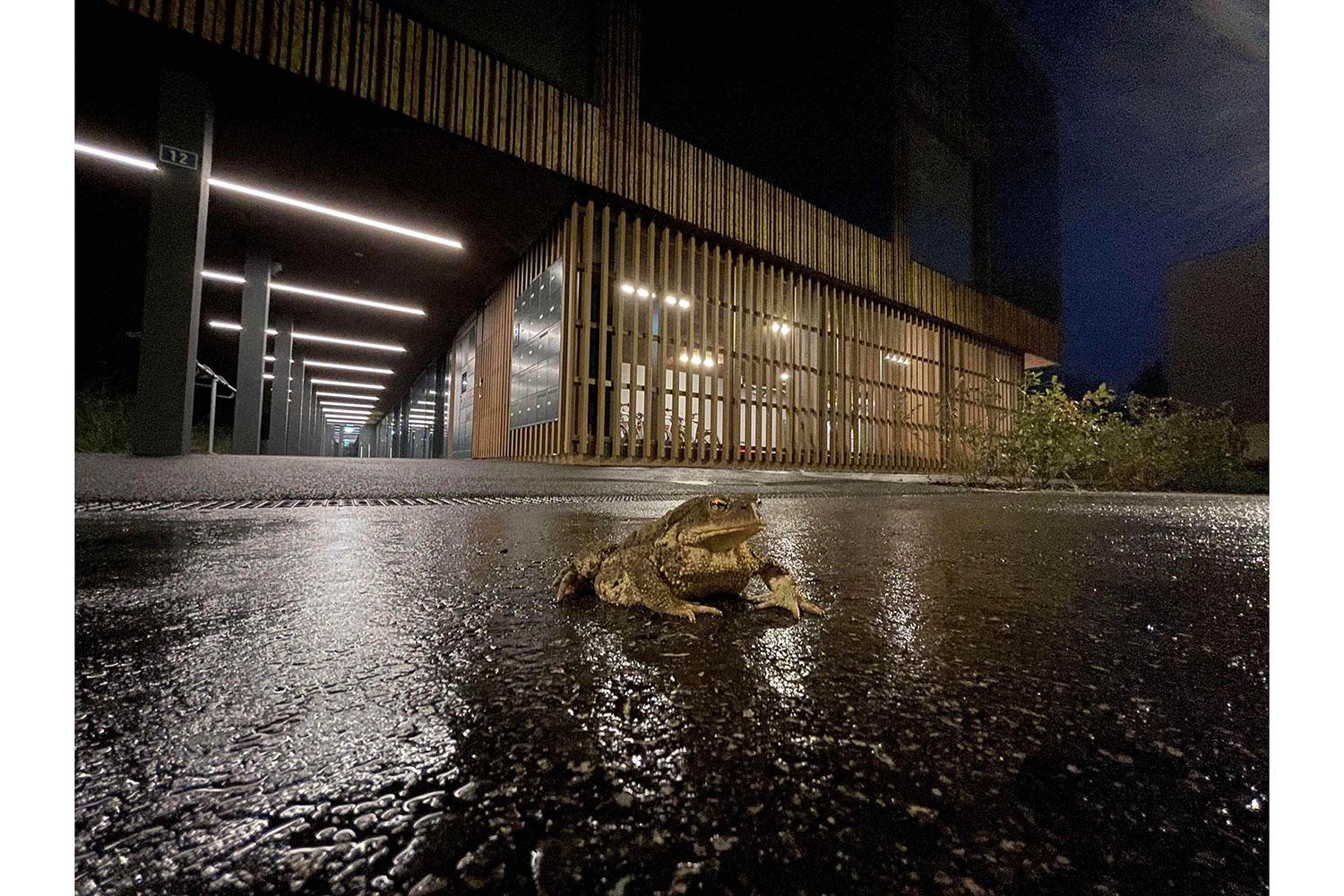 Lo Scudo di Stabio | 1° edificio SNBS in Ticino