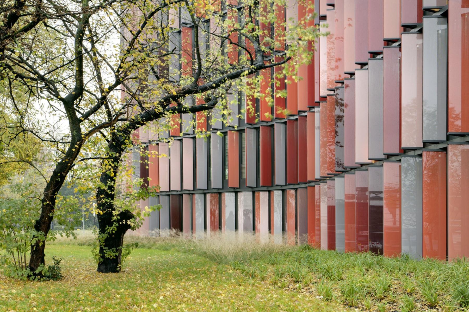 Colour in Architecture: Louisa Hutton | Espazium